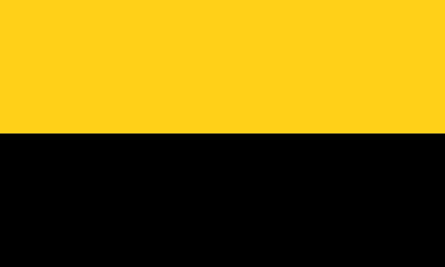 Sachsen (Saxony) flag image and meaning