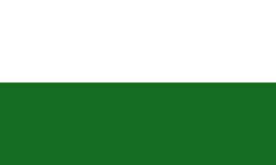 Sachsen (Saxony) flag image and meaning